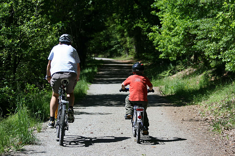 Radtouren in herrlicher Natur als Highlight im Sommer Freizeit rund um ...